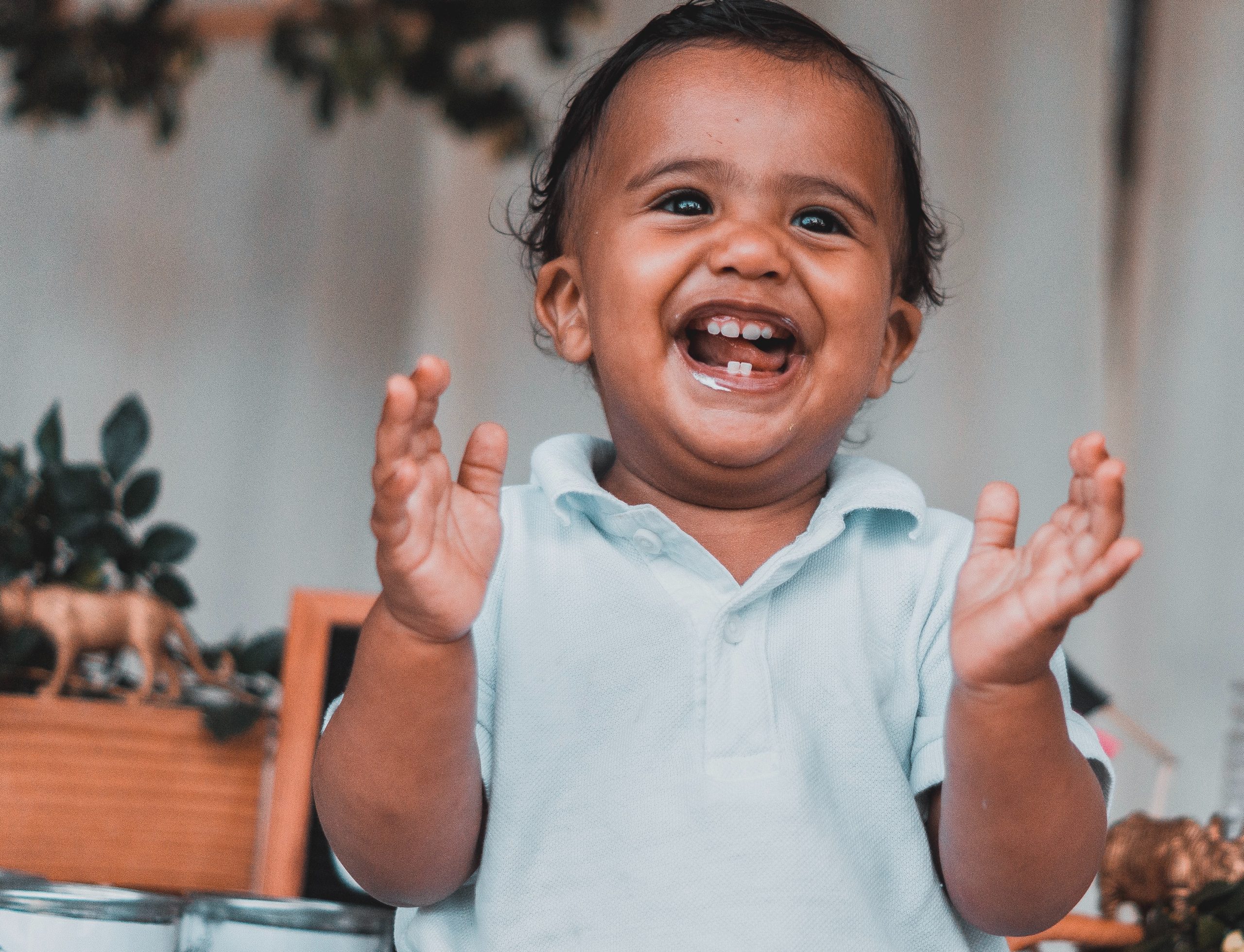 Silly Singing Seder - Jewish Baby Network